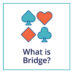 bridge4friends • American Contract Bridge League